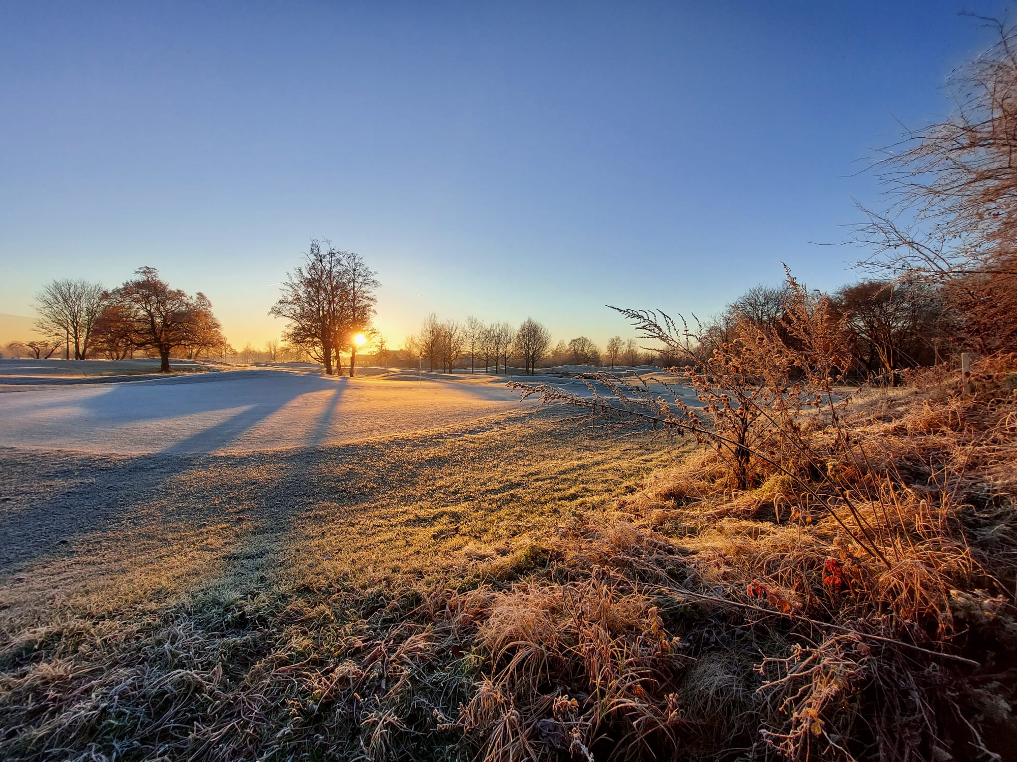 Leden - Utrechtse Golfclub Amelisweerd